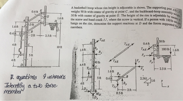 Solved A basketball hoop whose rim height is adjustable is | Chegg.com