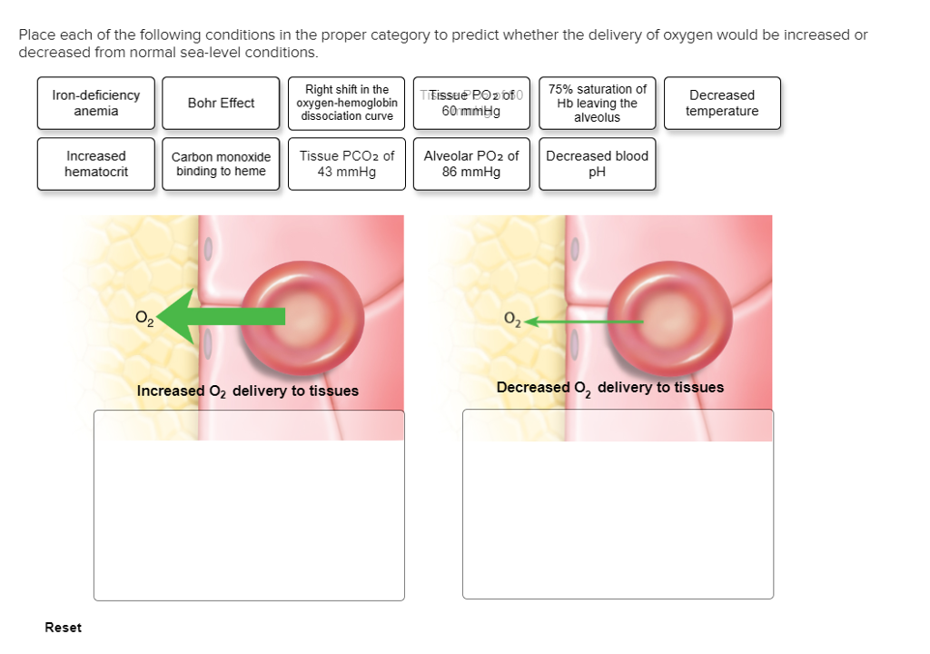 Solved Place each of the following conditions in the proper | Chegg.com