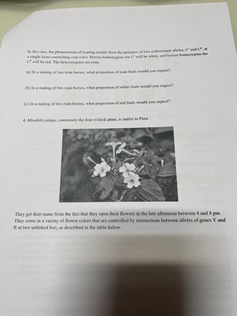 Solved AP Biology Non-Mendelian Genetics Problems 1. In | Chegg.com