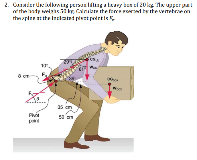 Solved 2. Consider the following person lifting a heavy box | Chegg.com