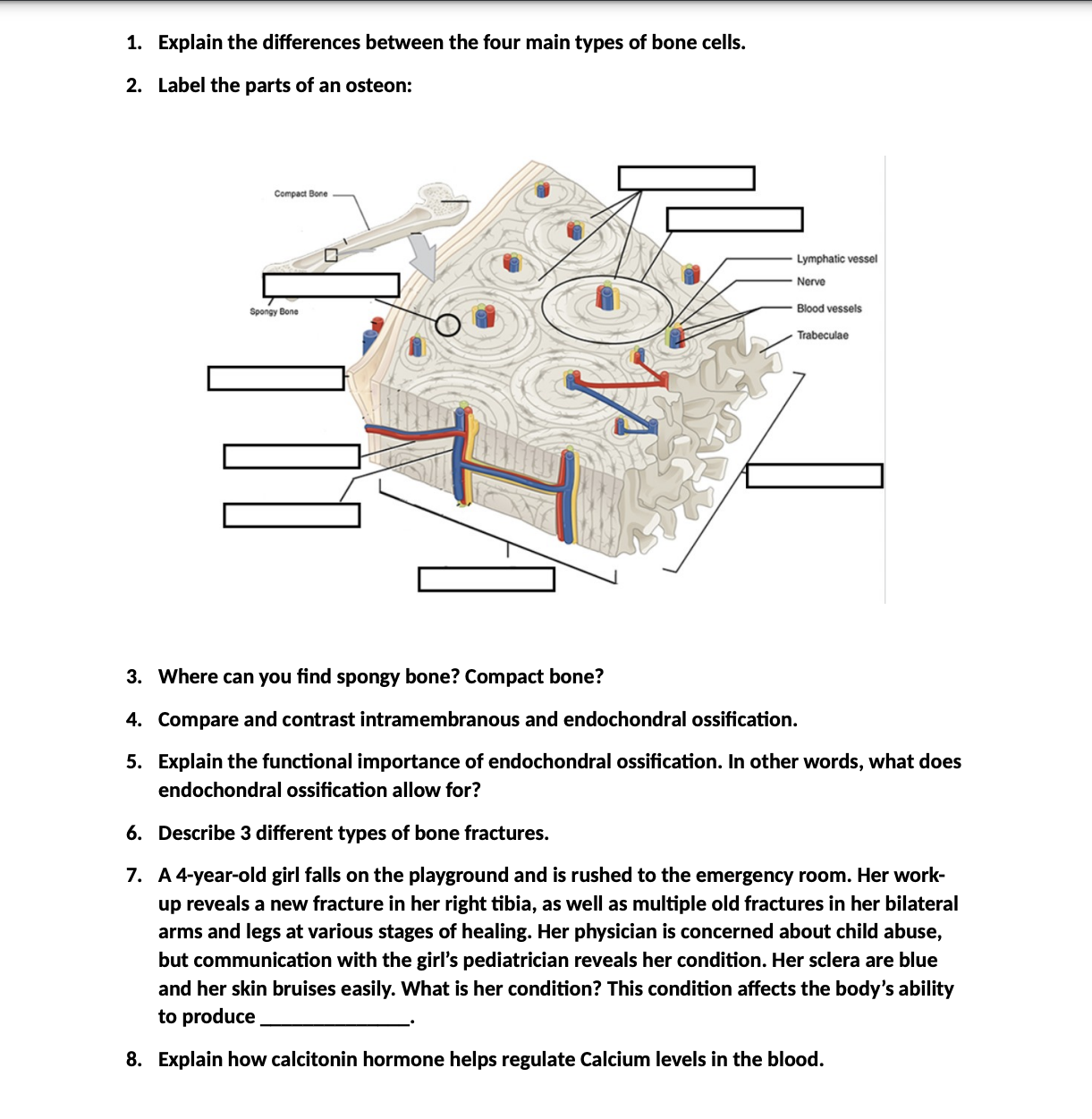 Solved 1. Explain the differences between the four main | Chegg.com