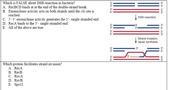 Solved innoin w Which is FALSE about DSB resection in | Chegg.com
