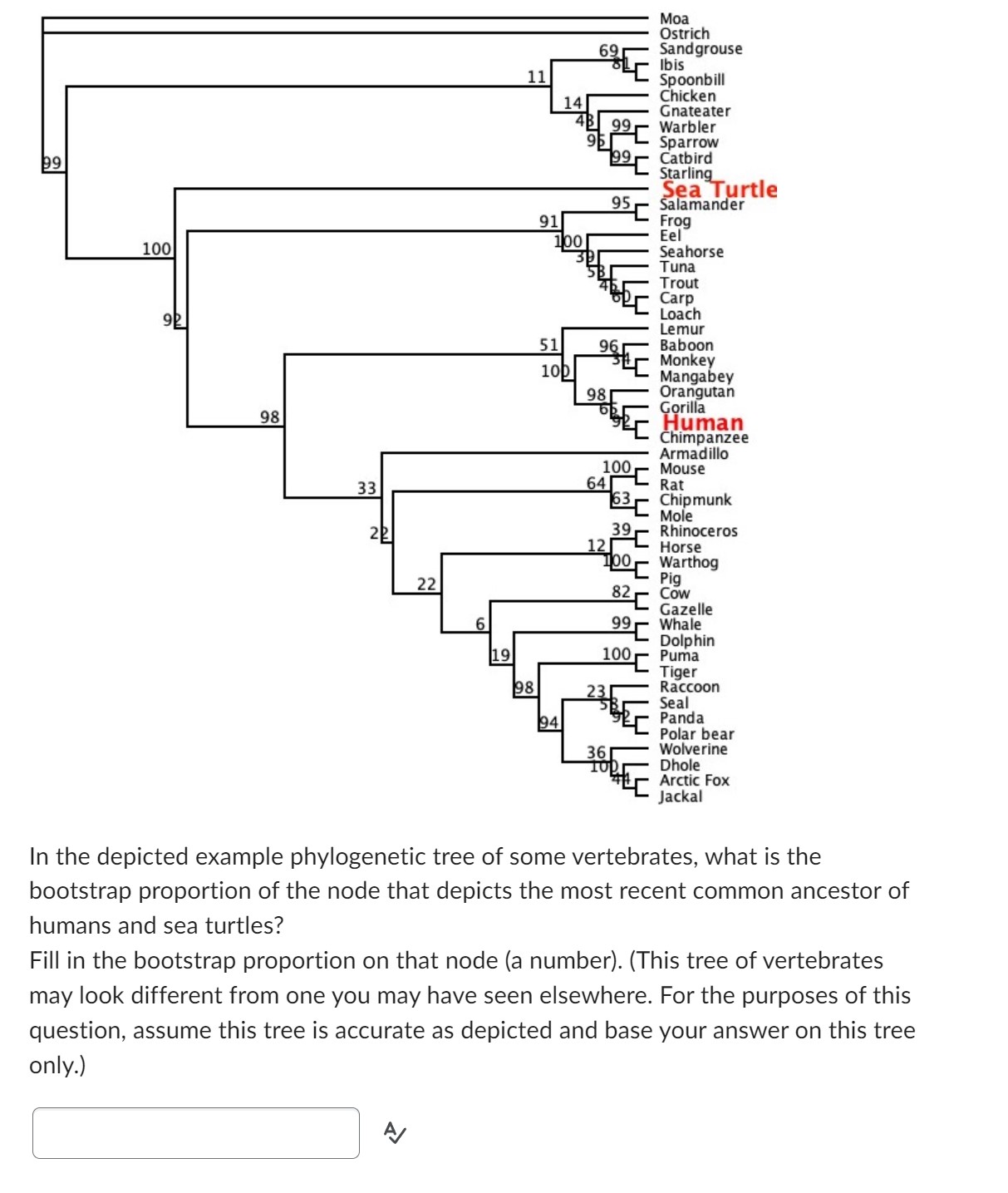 In the depicted example phylogenetic tree of some | Chegg.com