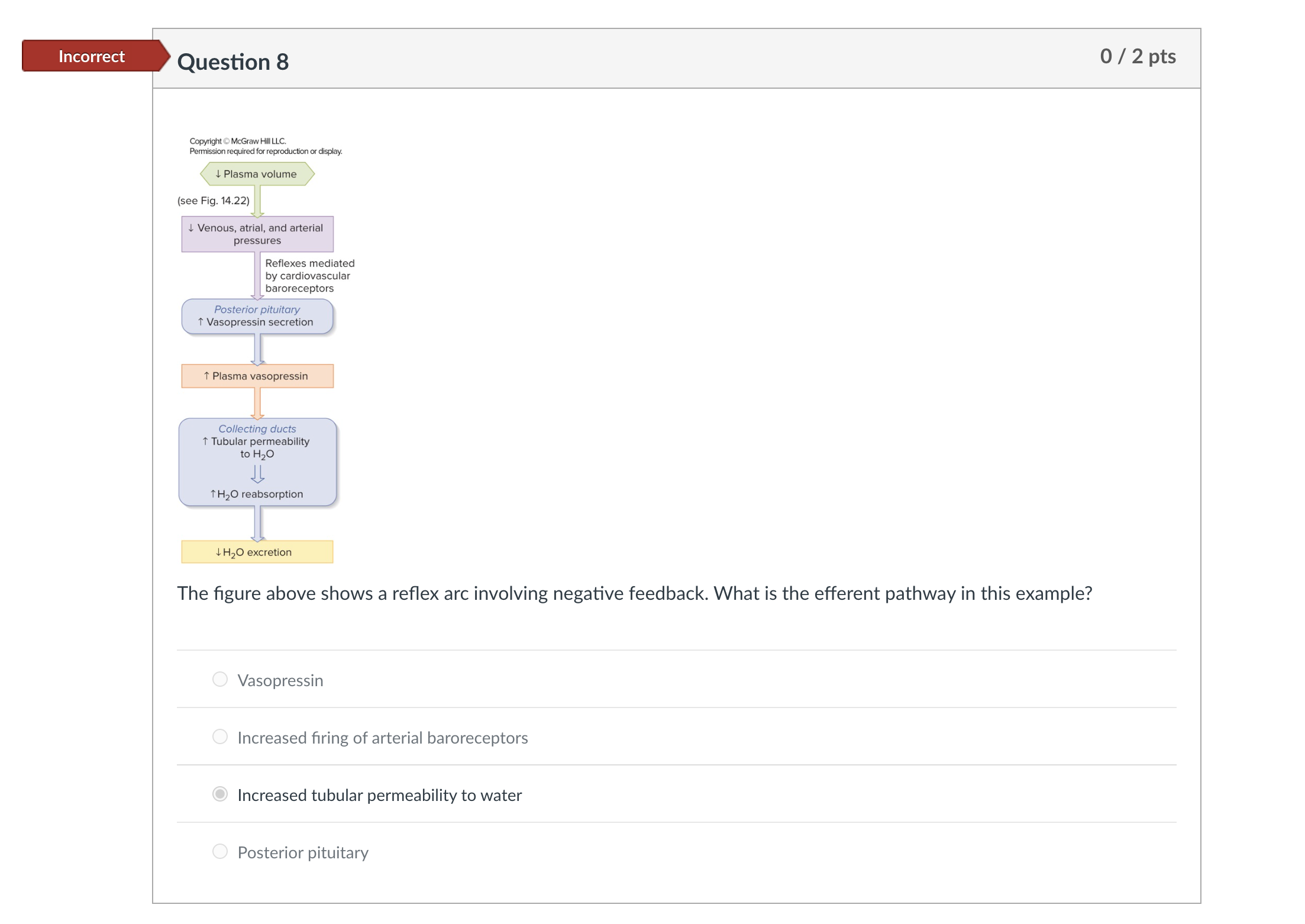 Solved The figure above shows a reflex arc involving | Chegg.com