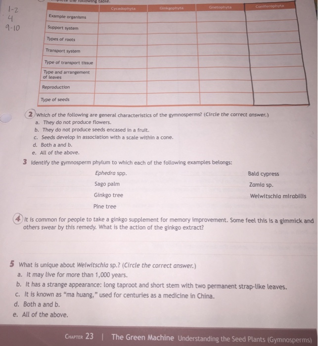 Solved Coniferophyta I- 2 Gnetoph Example organlsms Support | Chegg.com