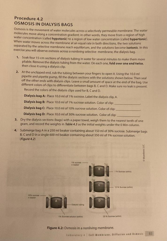 Solved Read the introduction to Procedure 4.2. In this | Chegg.com