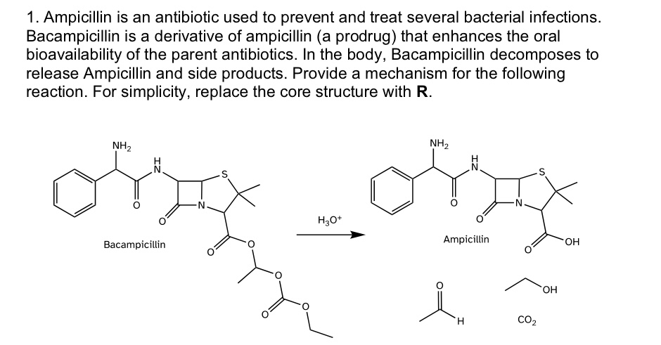 Solved Ampicillin is an antibiotic used to prevent and treat | Chegg.com