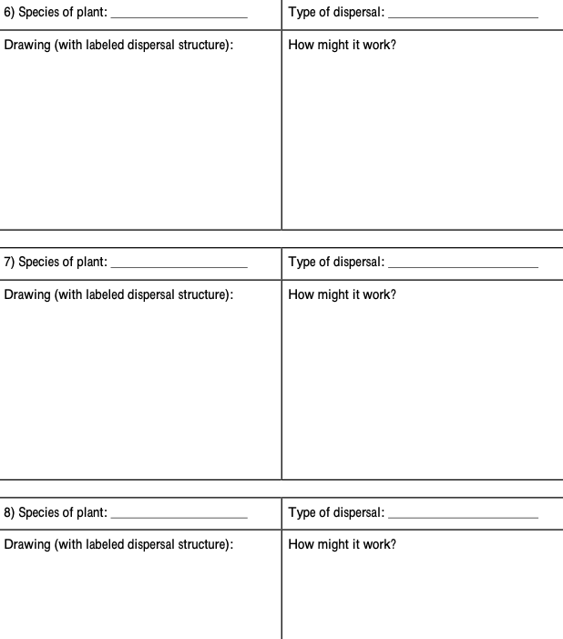 Solved 5) Species of plant: Type of dispersal: How might it | Chegg.com