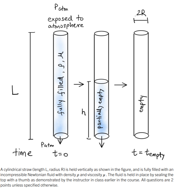 Solved A cylindrical straw (length L , ﻿radius R ) ﻿is held | Chegg.com