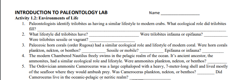 Solved Name INTRODUCTION TO PALEONTOLOGY LAB Activity 1.2: | Chegg.com