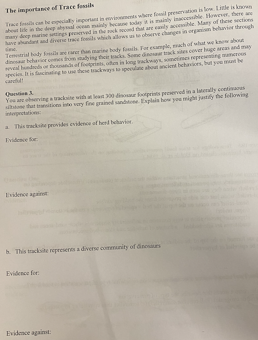 Solved The importance of Trace fossils Trace fossils can be | Chegg.com