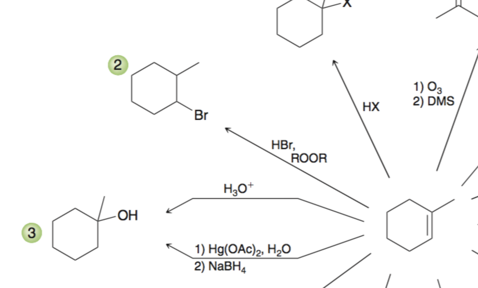 Solved 2 1) 03 2) DMS HX Br HBr, ROOR H20+ OH 3 1) Hg(OAC)2, | Chegg.com