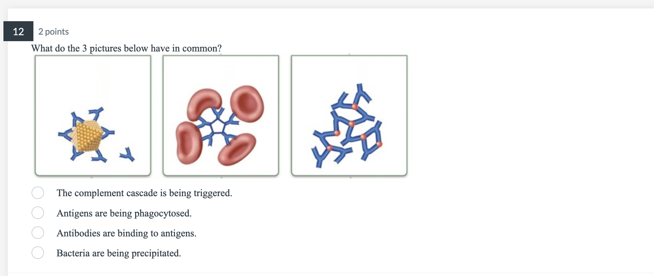 Solved What do the 3 pictures below have in common? The | Chegg.com