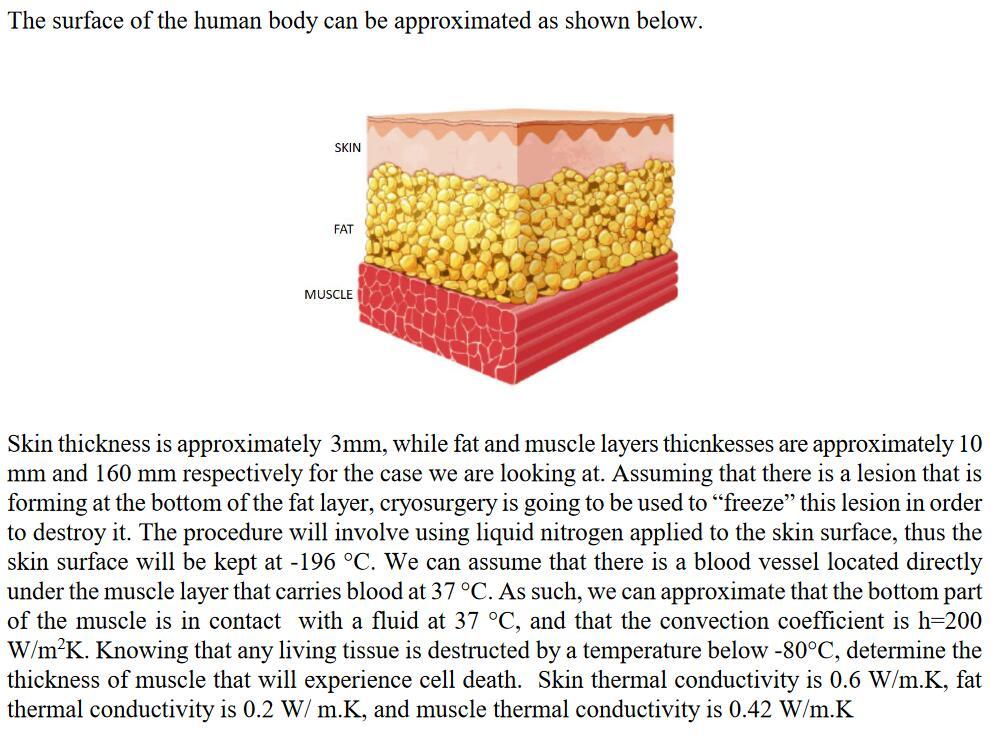 Solved The surface of the human body can be approximated as | Chegg.com