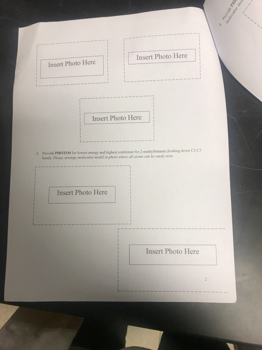 Solved Insert Photo Here Insert Photo Here Insert Photo Here | Chegg.com