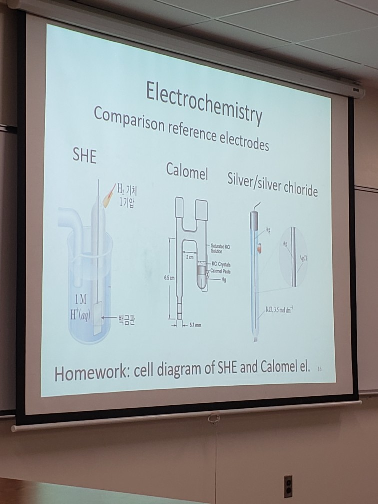 Solved Electrochemistry Comparison reference electrodes SHE | Chegg.com