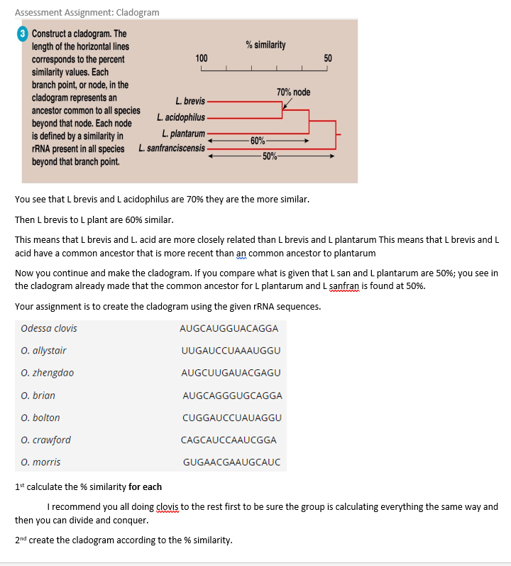 Assessment Assignment: Cladogram % similarity 100 50 | Chegg.com Assessment Assignment: Cladogram % similarity 100 50 | Chegg.com