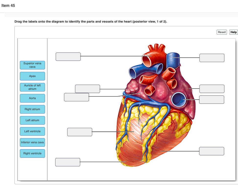 Solved Item 41 Part A Drag the appropriate labels to their | Chegg.com