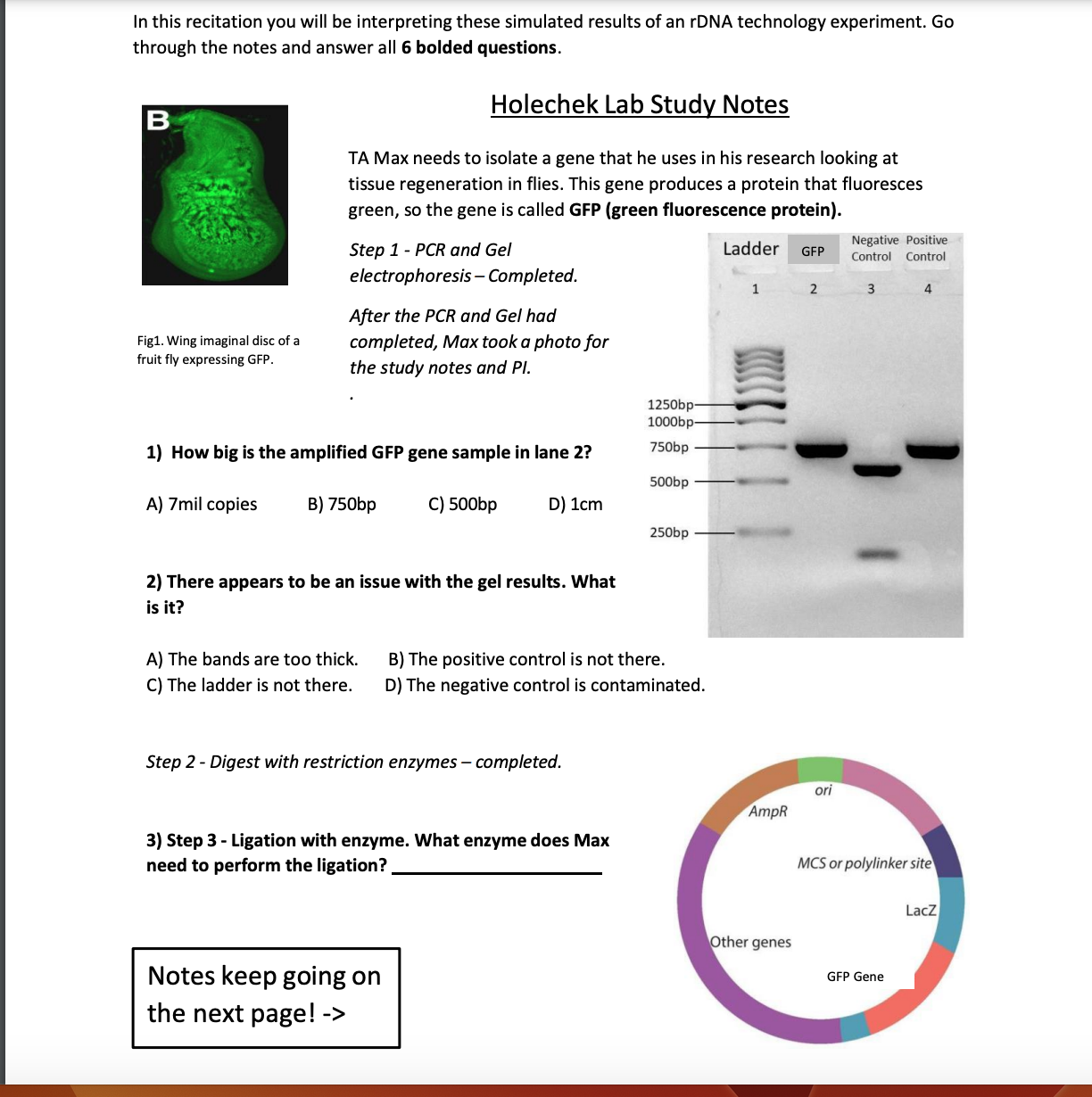 Solved In this recitation you will be interpreting these | Chegg.com