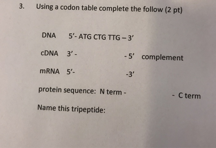 3. Using a codon table complete the follow (2 pt) DNA | Chegg.com