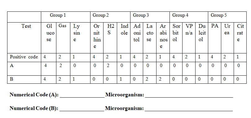 Solved Find the numerical code and name of microorganism for | Chegg.com