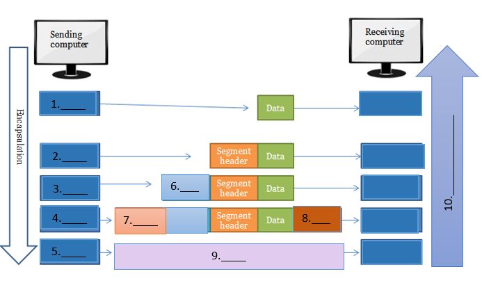 Solved Fill in the blank space labeled by number (1-10) in | Chegg.com