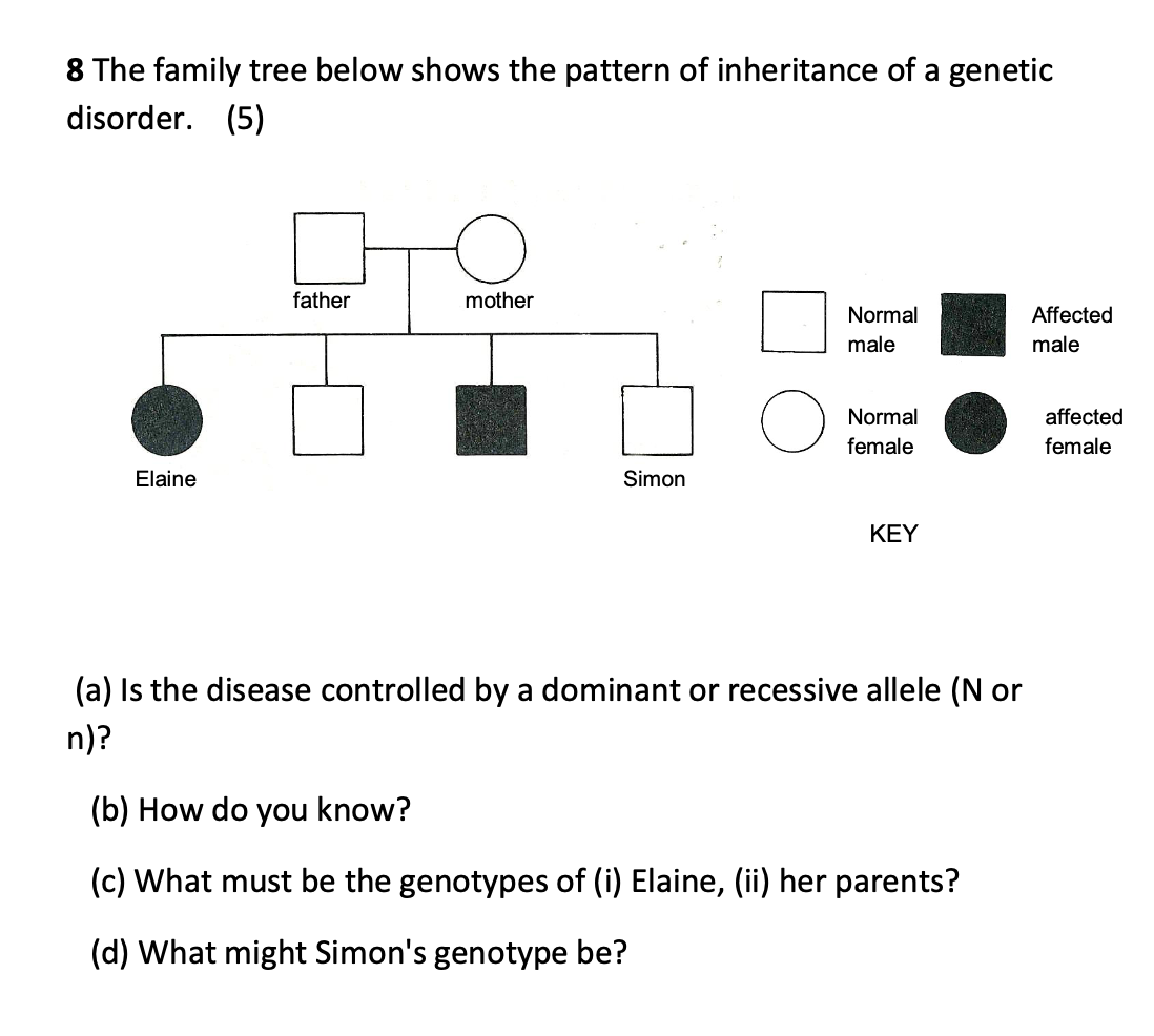 Solved 8 The family tree below shows the pattern of | Chegg.com
