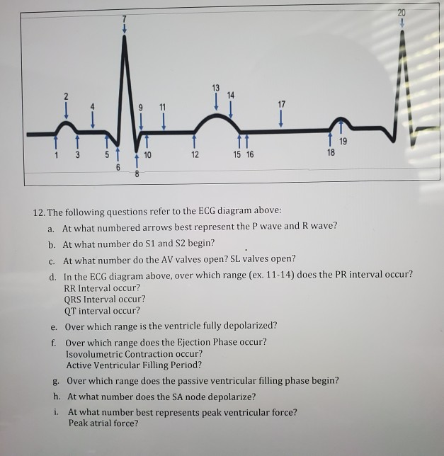 Solved 19 11 1 12 1 1 15 16 1 3 5 10 6 12. The following | Chegg.com