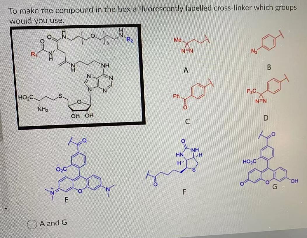 Solved biochem question, please explain as well A) A and | Chegg.com