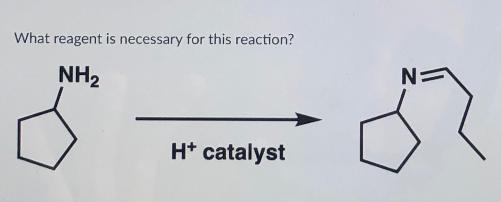 Solved What reagent is necessary for this reaction? NH2 N= | Chegg.com