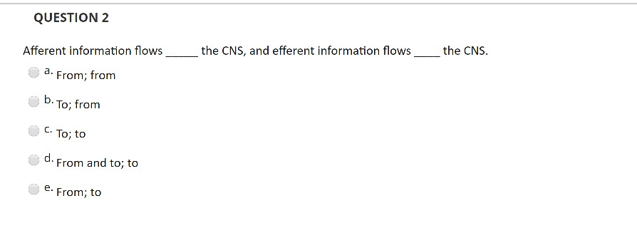 Solved QUESTION 2 the CNS, and efferent information flows__ | Chegg.com