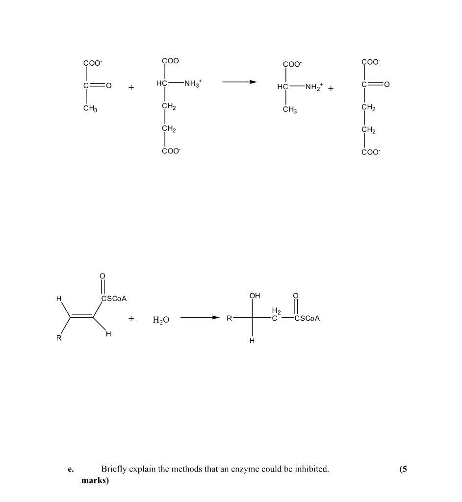 Solved COO COO COO COO- CO HC-NH3 HC -NH2 + CO CH3 CH2 CH3 | Chegg.com