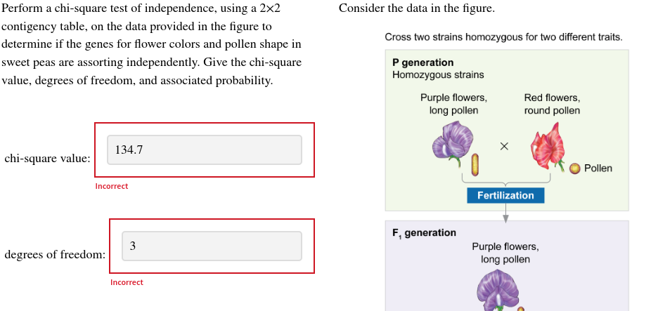 Solved Perform a chi-square test of independence, using a | Chegg.com
