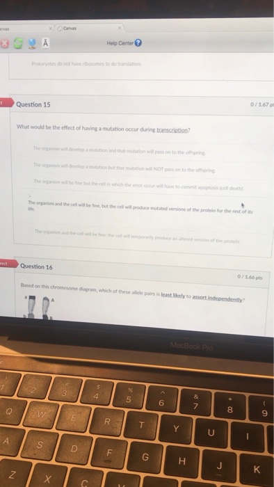 Solved Help Center 3 Prokaryotes do not have bosomes to do | Chegg.com