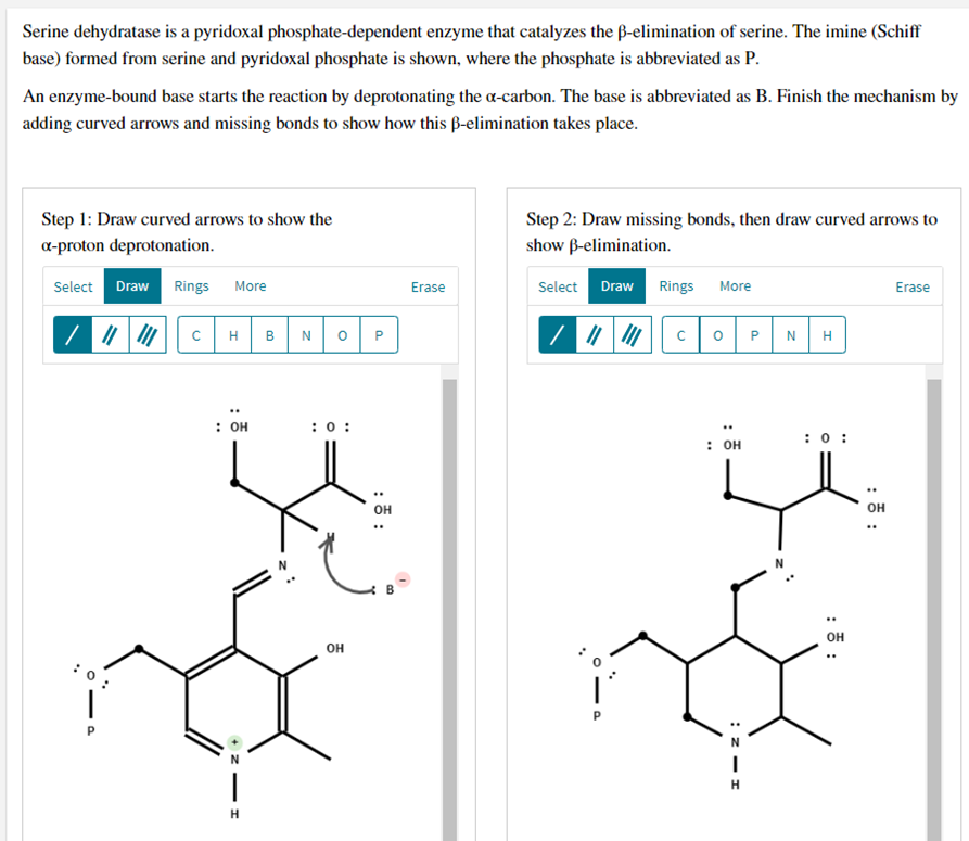 Solved Serine dehydratase is a pyridoxal phosphate-dependent | Chegg.com