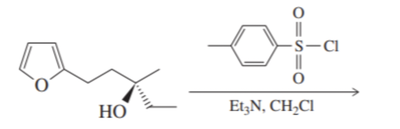 Solved Provide the major organic product in the reaction | Chegg.com
