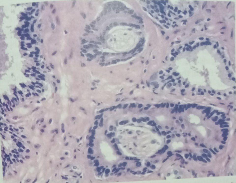 Solved 20 绘 | Chegg.com