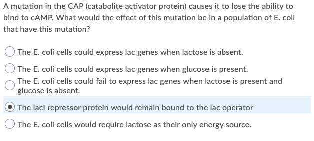 Solved A mutation in the CAP (catabolite activator protein) | Chegg.com