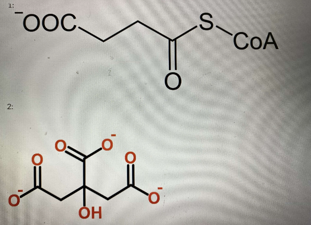 Solved 3: COO C= | CH | COO- 4: 1: TOOC S COA O 2: ů ОН | Chegg.com