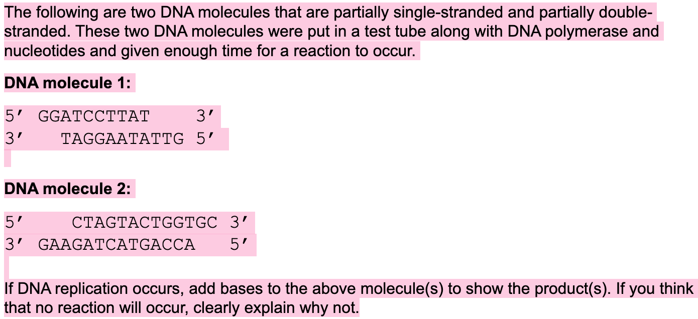 Solved The following are two DNA molecules that are | Chegg.com