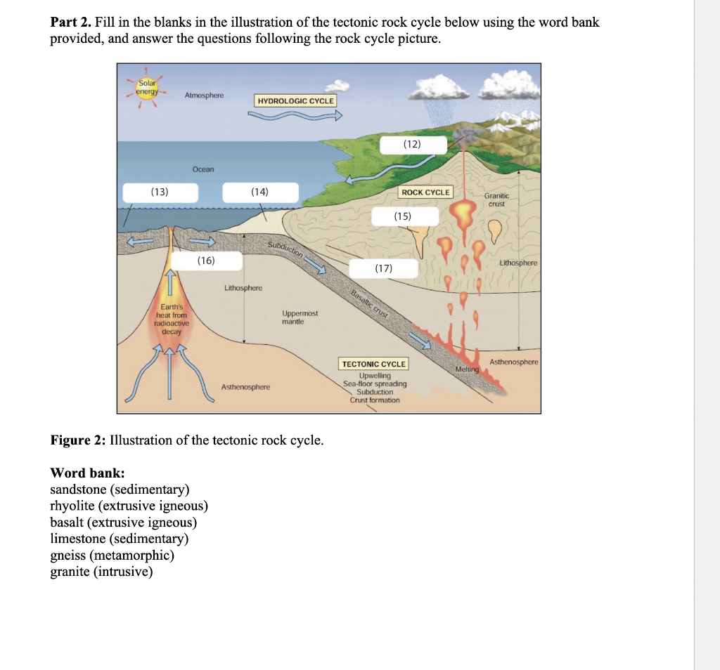 Solved Part 2. Fill in the blanks in the illustration of the | Chegg.com