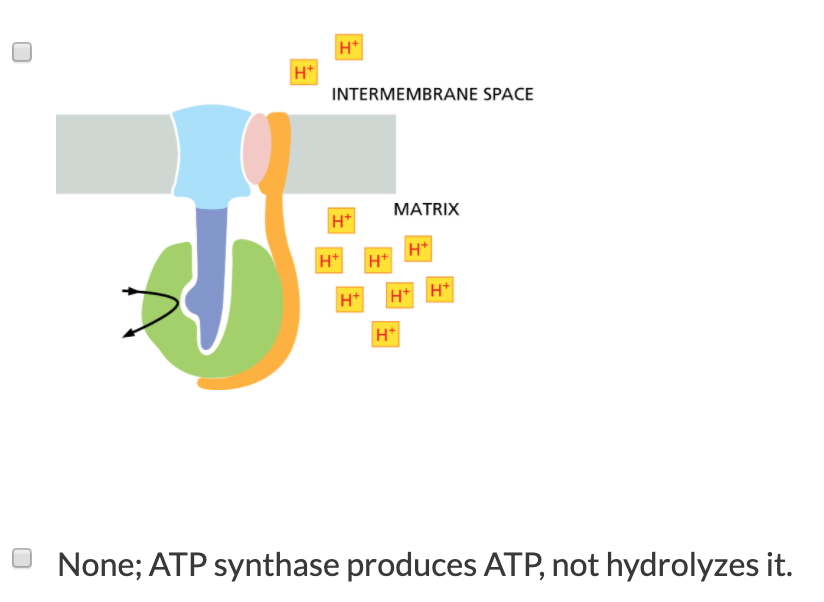 Solved Under which conditions as illustrated might ATP | Chegg.com