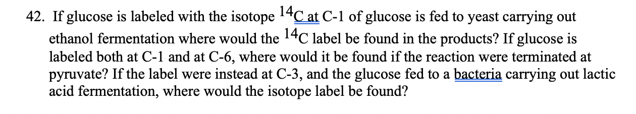 Solved 42. If glucose is labeled with the isotope 14C at C-1 | Chegg.com