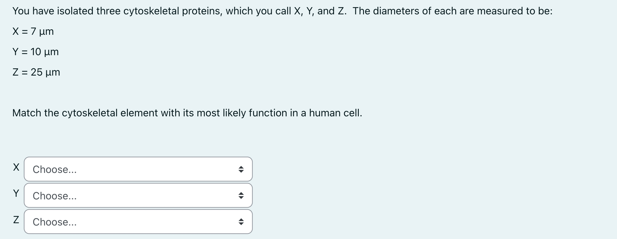 [Solved]: You have Isolated three cytoskeletal proteins, wh