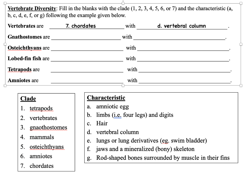 Solved Vertebrate Diversity: Fill in the blanks with the | Chegg.com