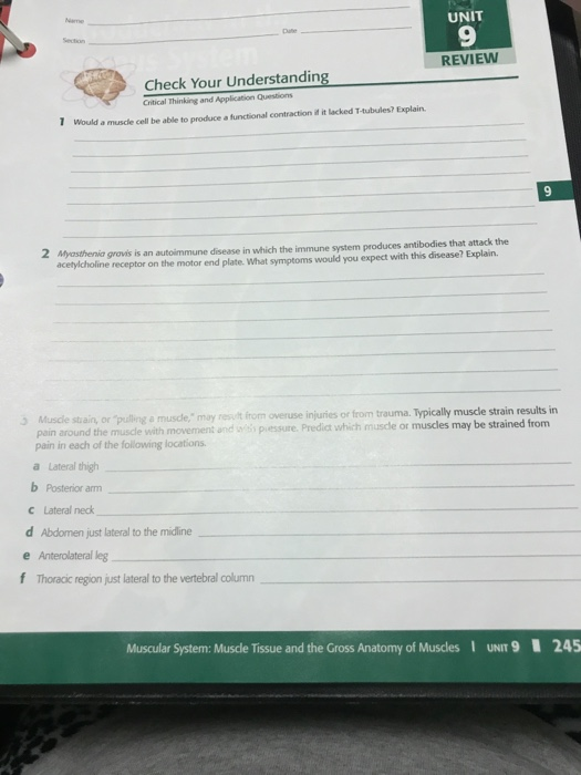 Solved UNIT 9 REVIEW Name Section Check Your Understanding | Chegg.com