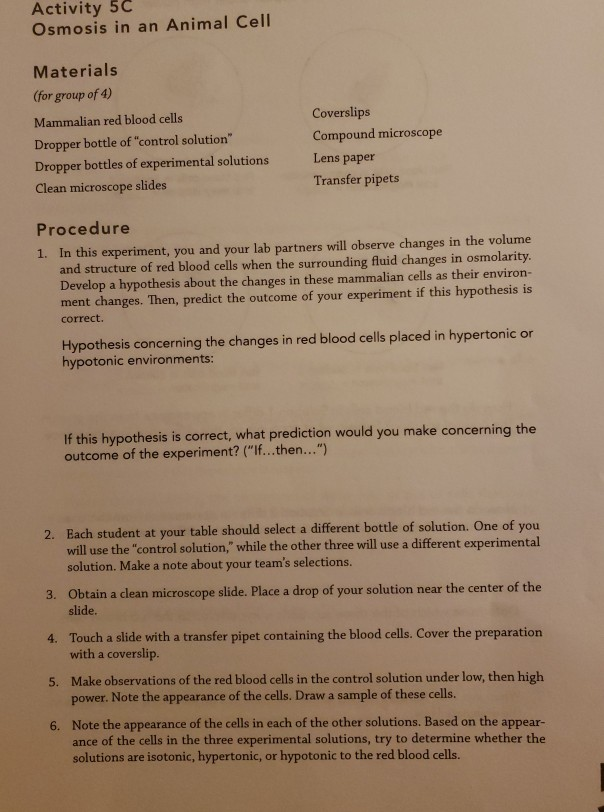 Solved Activity 5 Osmosis in an Animal Cell Materials (for | Chegg.com