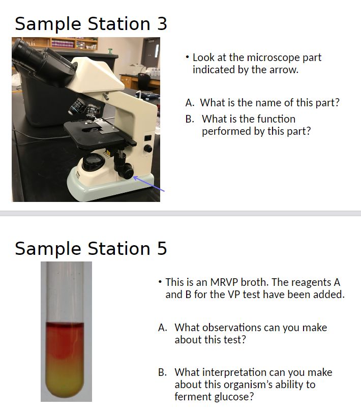 Solved Sample Station 3 - Look at the microscope part | Chegg.com