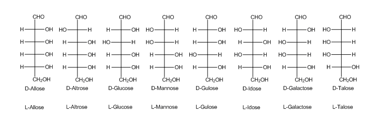 Solved 13.1) From the choices given below select the | Chegg.com