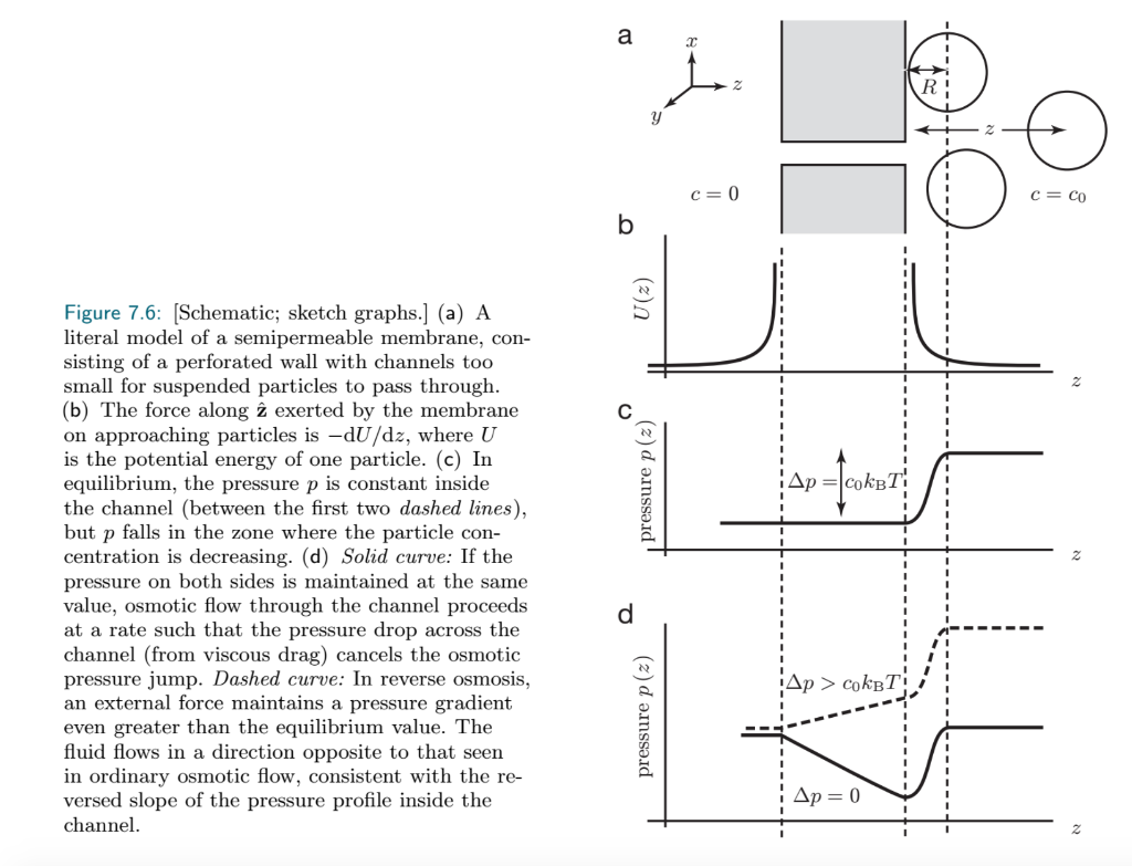 Your Turn 7C Now suppose that there are particles on | Chegg.com